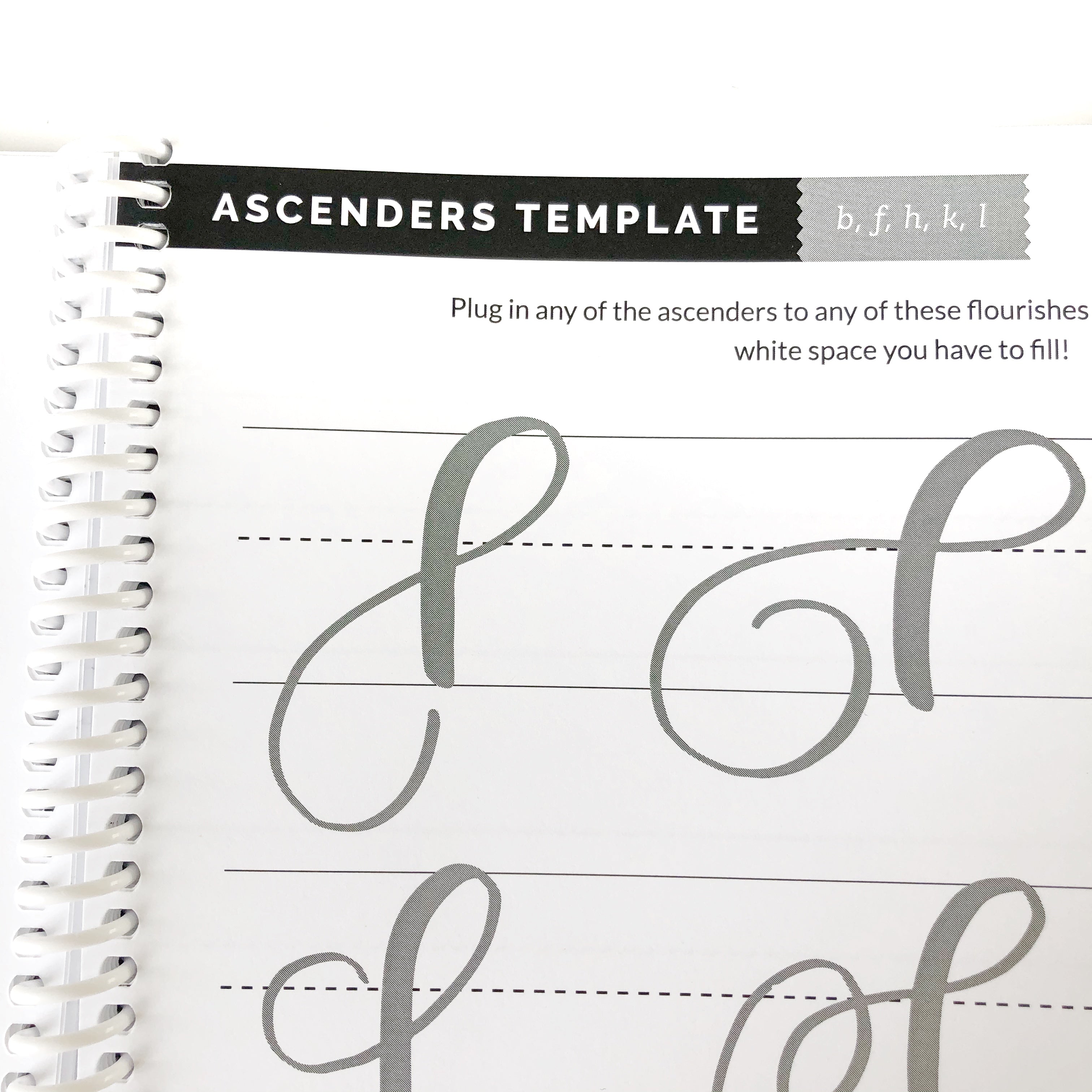 Guide to Flourishing Kit – Hand Lettered Design