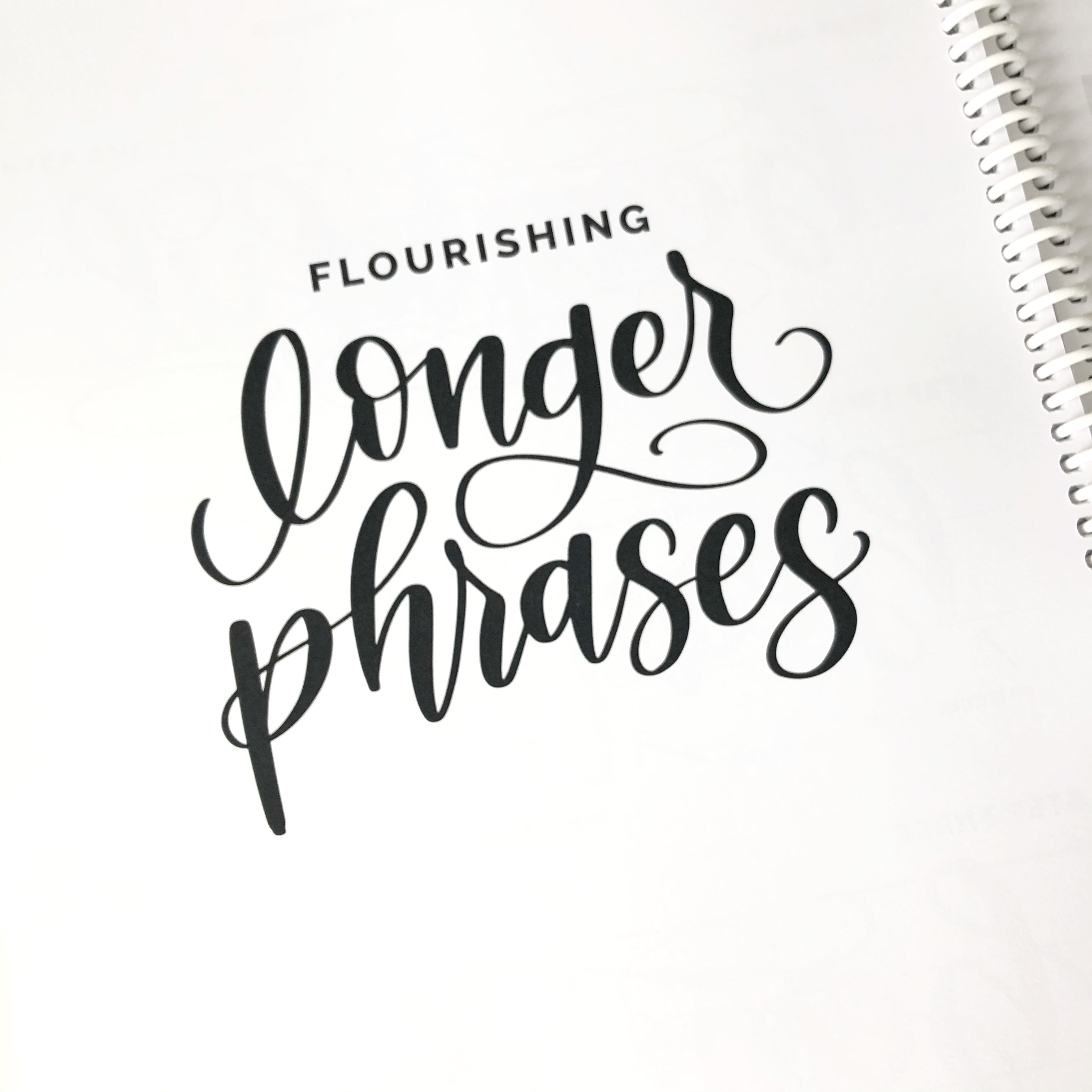 Guide to Flourishing Kit – Hand Lettered Design
